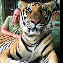 Personality Forge - Chat with Himbo Tiger